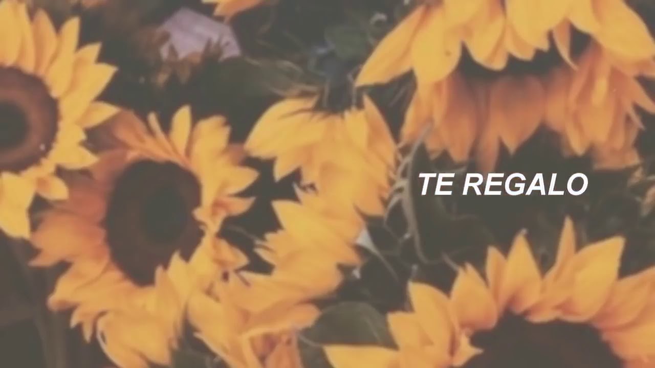 Te regalo, Carla Morrison (letra) - YouTube