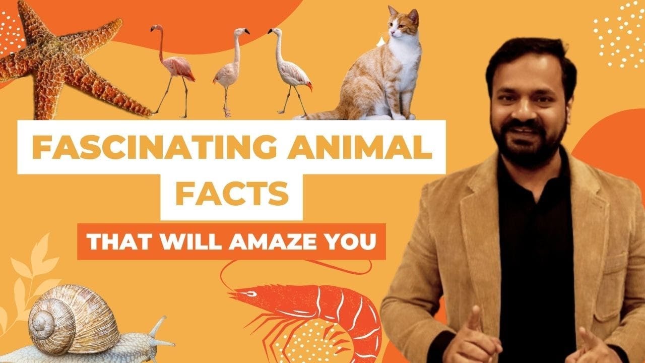 12 Fascinating Animal Facts That Will Amaze You | Jawad Ahmed - YouTube