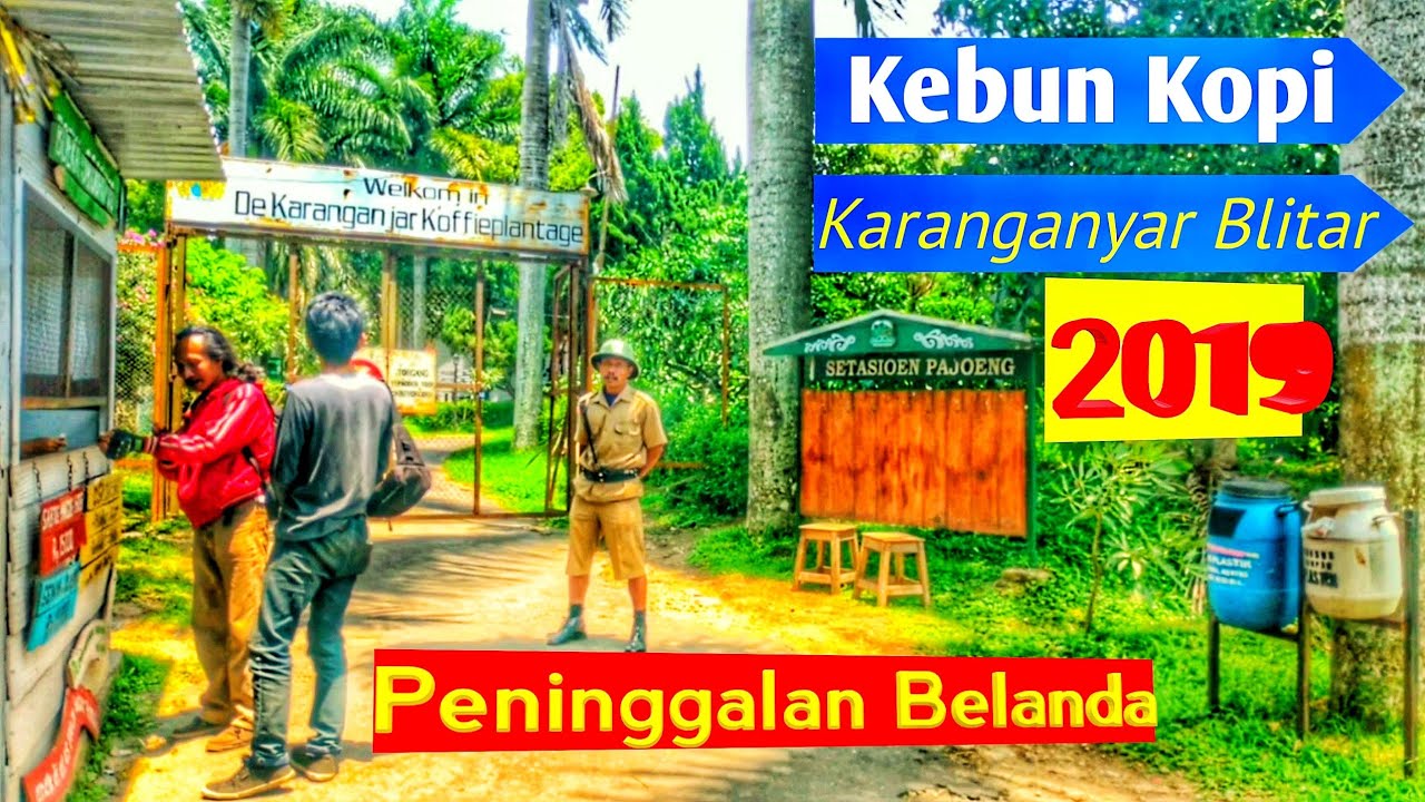 Kebun kopi Karanganyar modangan Blitar _Tempatnya sejuk - YouTube