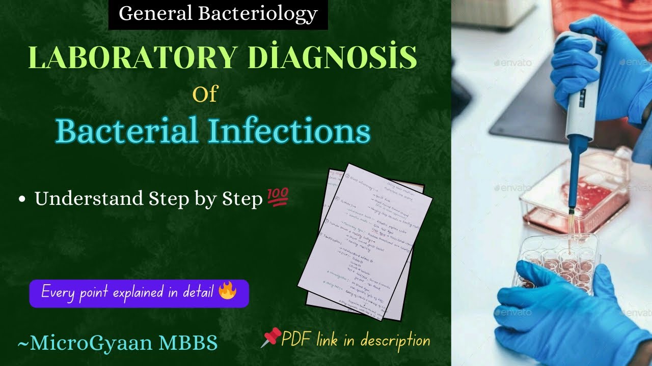 Laboratory diagnosis of Bacterial Infections | Microbiolgy | Easy ...