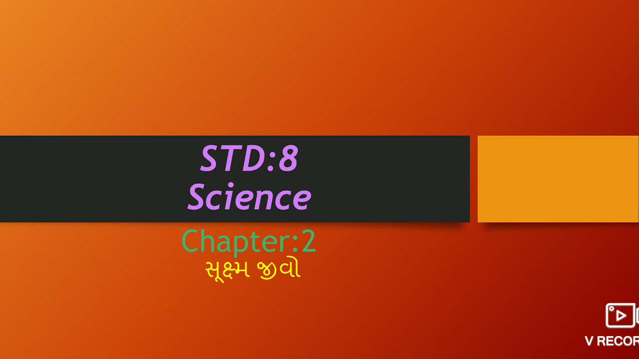 STD 8 Science Ch 2 Part 1 YouTube std-8-science-ch-2-part-1-youtube