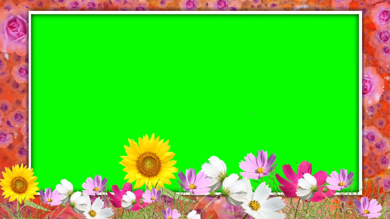 NEW GREEN SCREEN FLOWER FRAME BORDER FOR VIDEO - YouTube