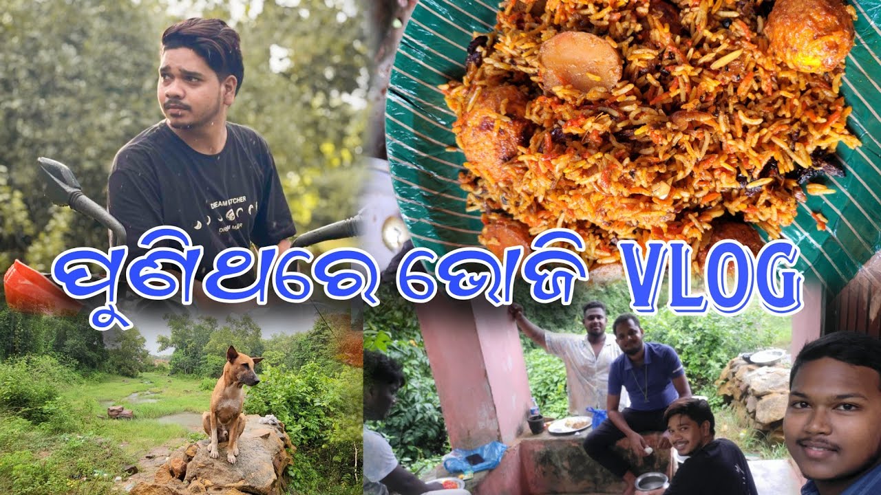 ପୁଣିଥରେ ଭୋଜି Vlog Odia Vloging Video Odiavlogger Vlog