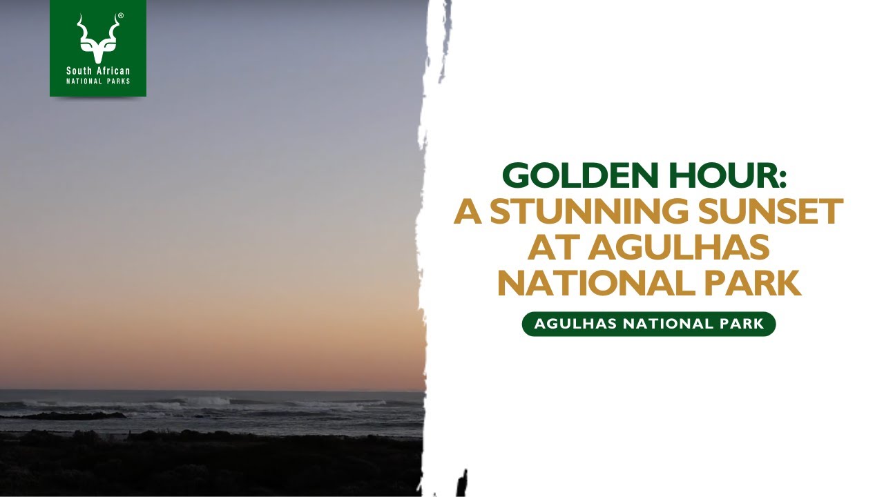 Breathtaking Sunset at Agulhas National Park 🌅 #SANParks - YouTube