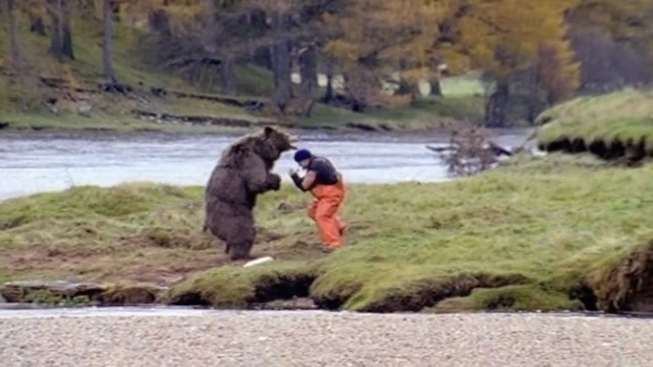 John West『Bear』 - YouTube