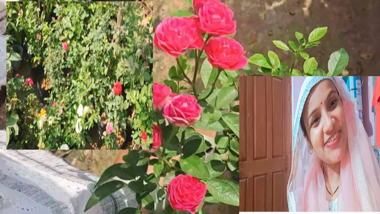 batton rose le aye h hum ghar apne 🥰🥰🥰🥰 - YouTube