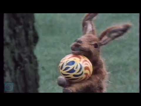 Pipkins - SE 14 - EP 47 -  Cheering Up Tortoise  -17 November 1981  -  Entertainment Pitstop