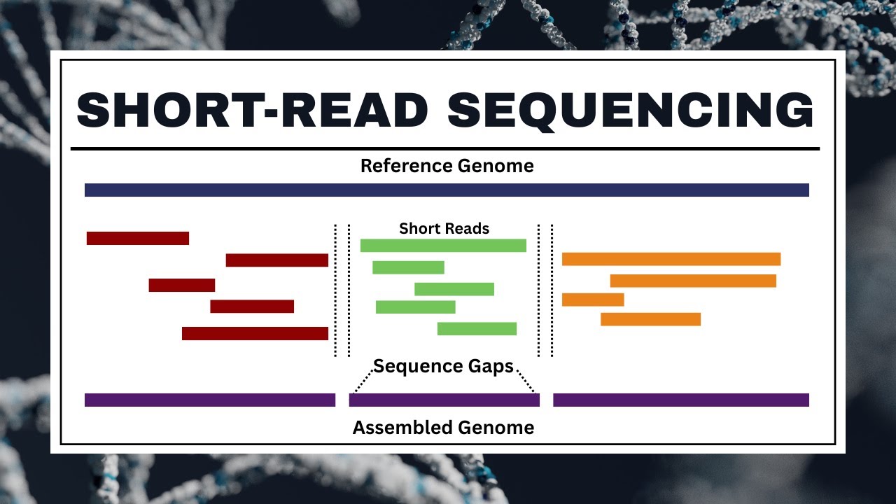 Short-Read Sequencing Explained: Illumina, PacBio Onso, Applications ...