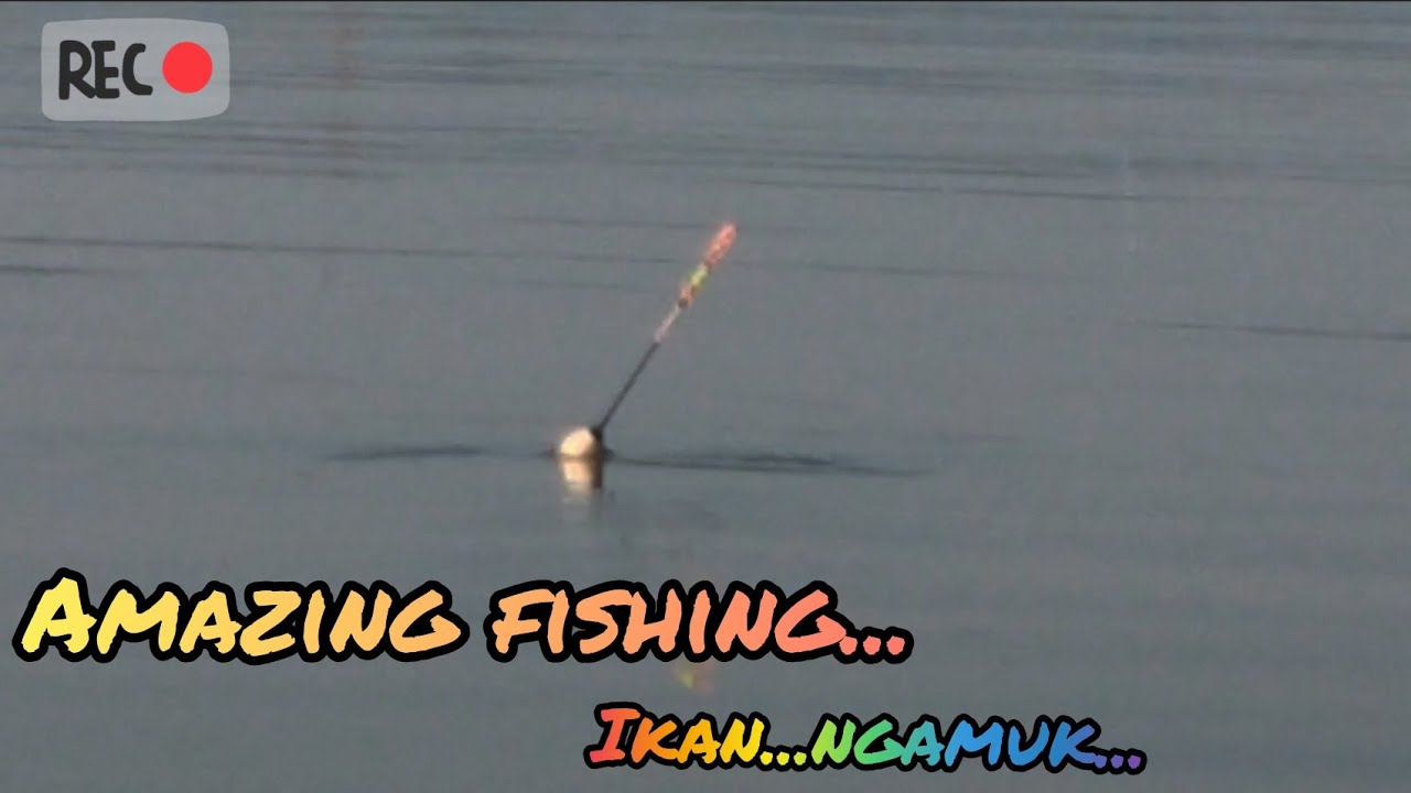 AMAZING FISHING !! siapa sangka ikannya di sini ganas semua - YouTube