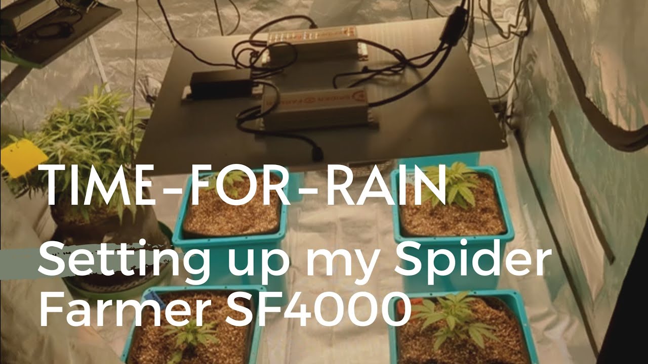 Setting up my new Spider Farmer SF4000 Light | 450-Watt LED Grow Light ...