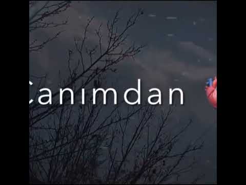 💜🎶Whatsapp ucun maraqlı, mənalı statuslar, status ucun videolar, qəmli videolar SoundsApp video 2022