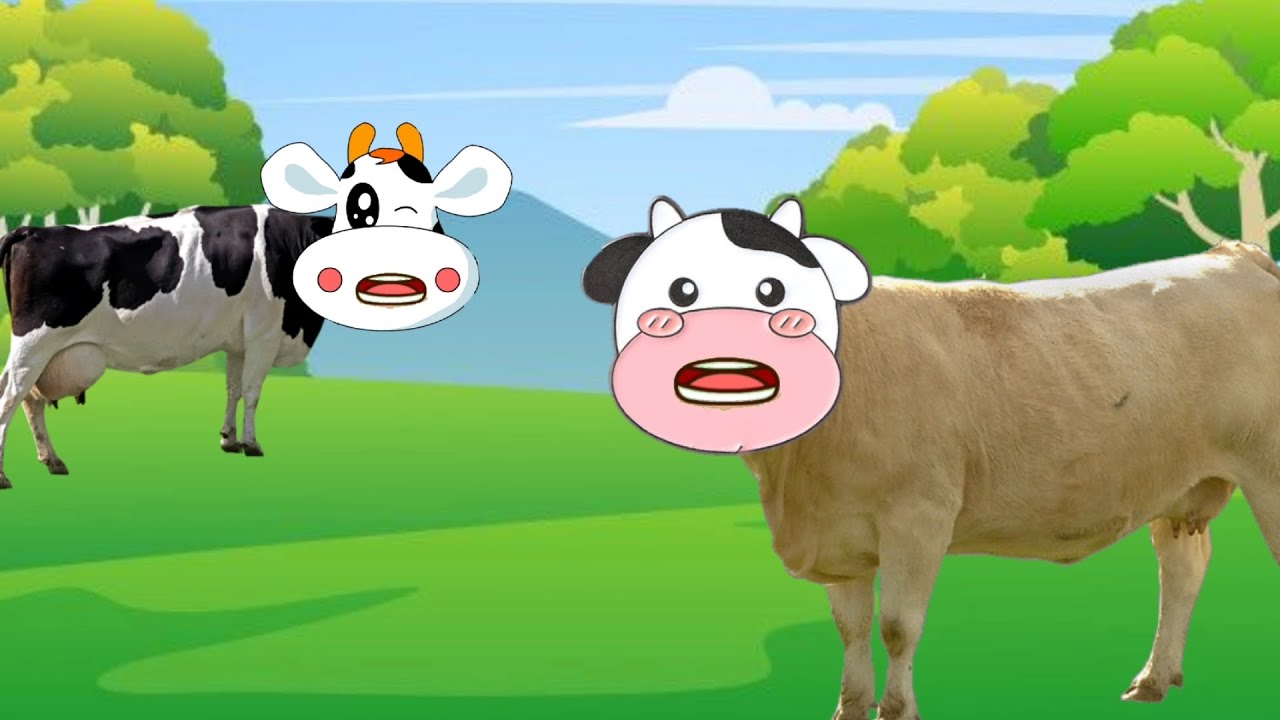 Abc Song | Hickory Dickory Dock | Baby tv Nursery Rhymes Pinkfong ...