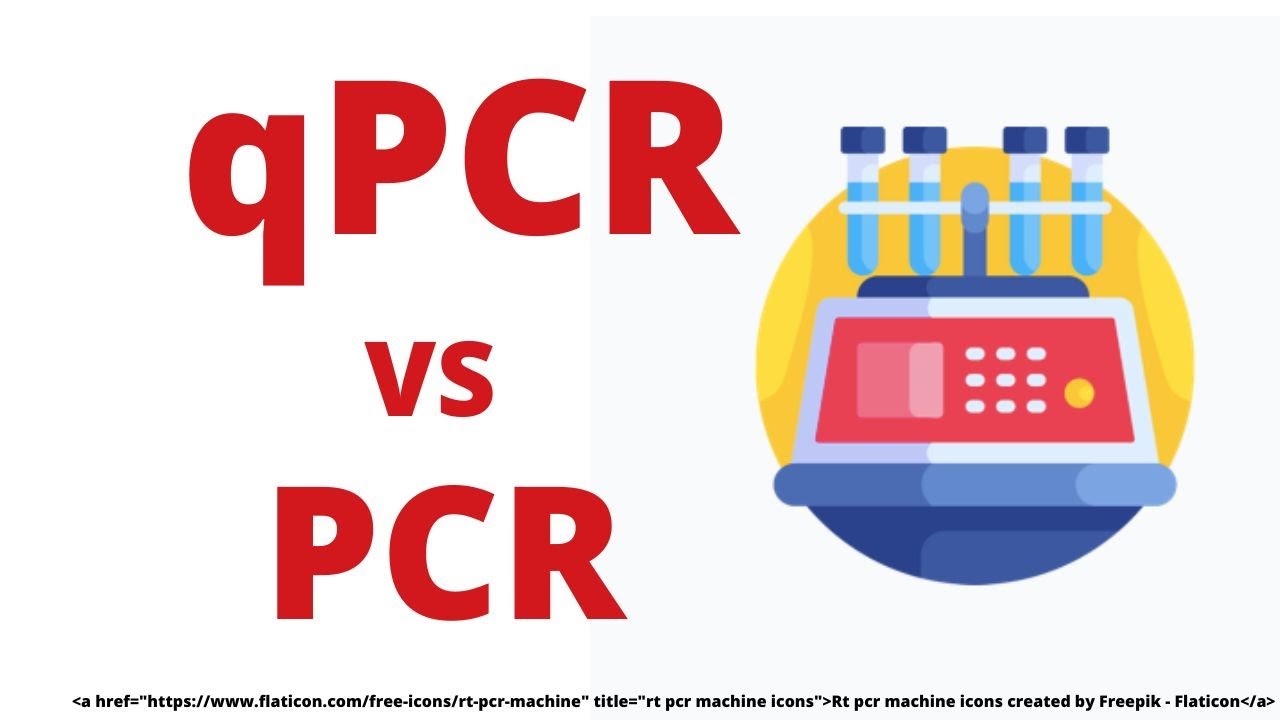 qPCR DATA ANALYSIS | REAL TIME PCR - YouTube