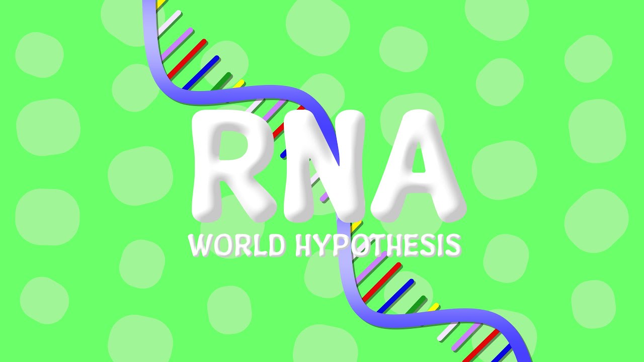 RNA Evolution: Connections and Content - YouTube