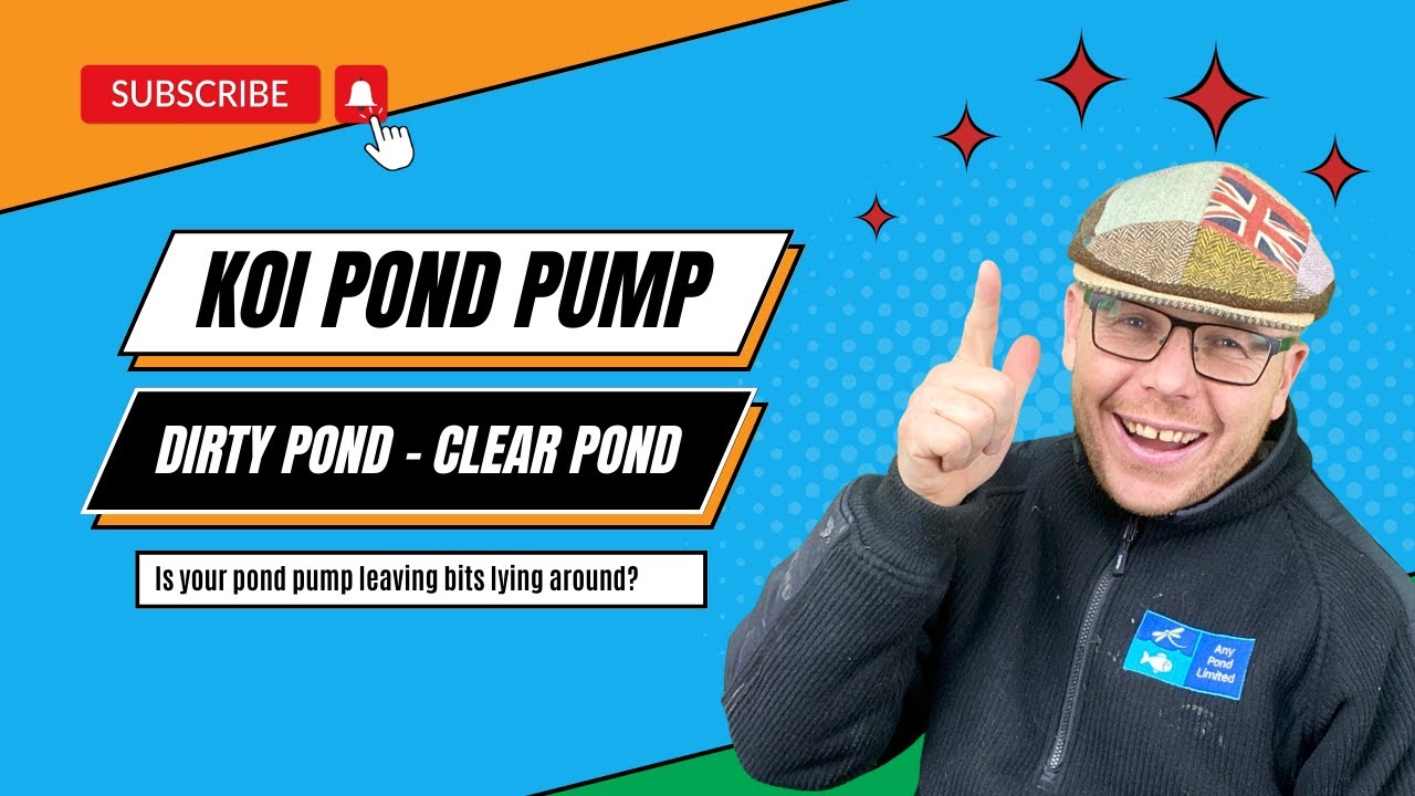 Clear Your Koi Pool: Essential Koi Pond Pump Exchange - YouTube