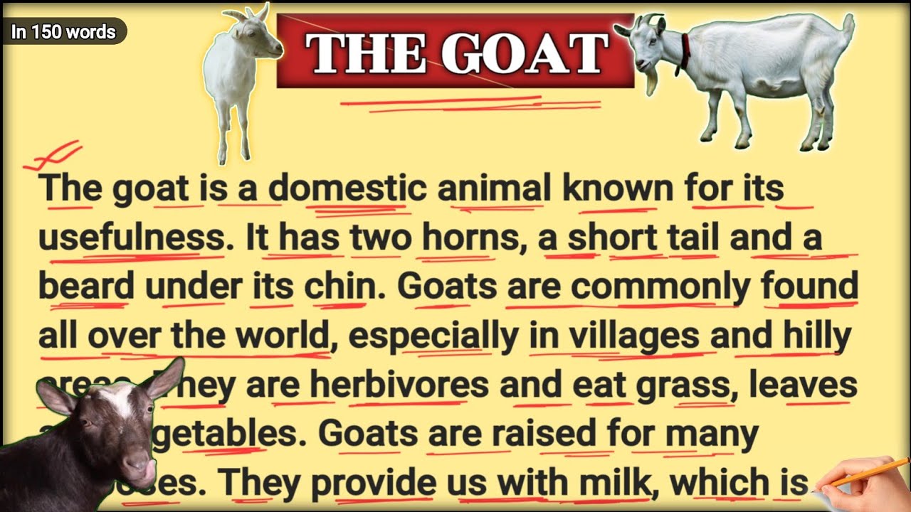 The Goat || Essay on the goat || English me Bakri par nibandh @CarryOn ...