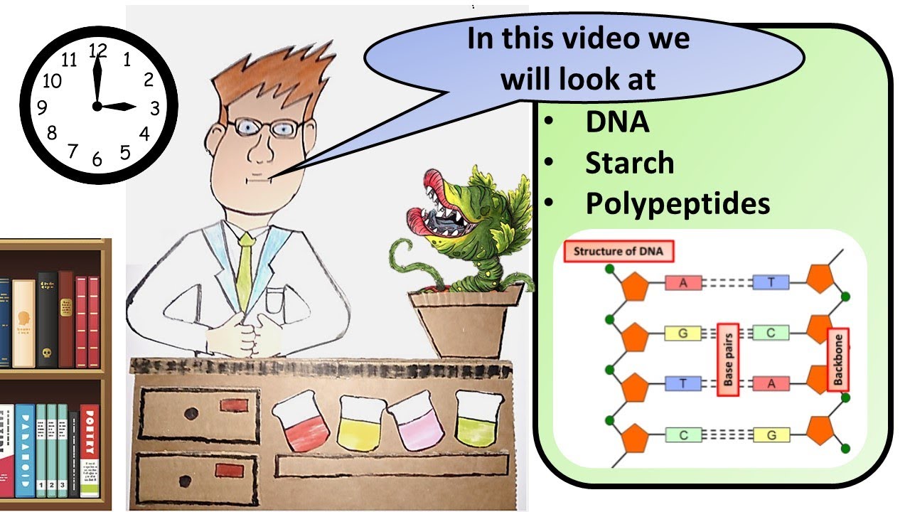 GCSE Chemistry DNA & Other Naturally Occurring Polymers Revision - YouTube