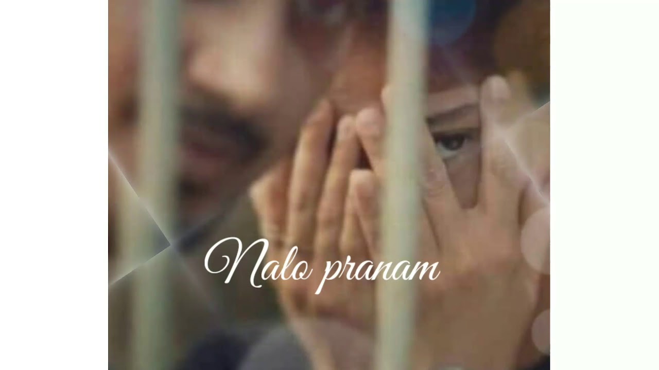 Madilo medile valapula chilakha Telugu song | #3movie | Dhanush ...