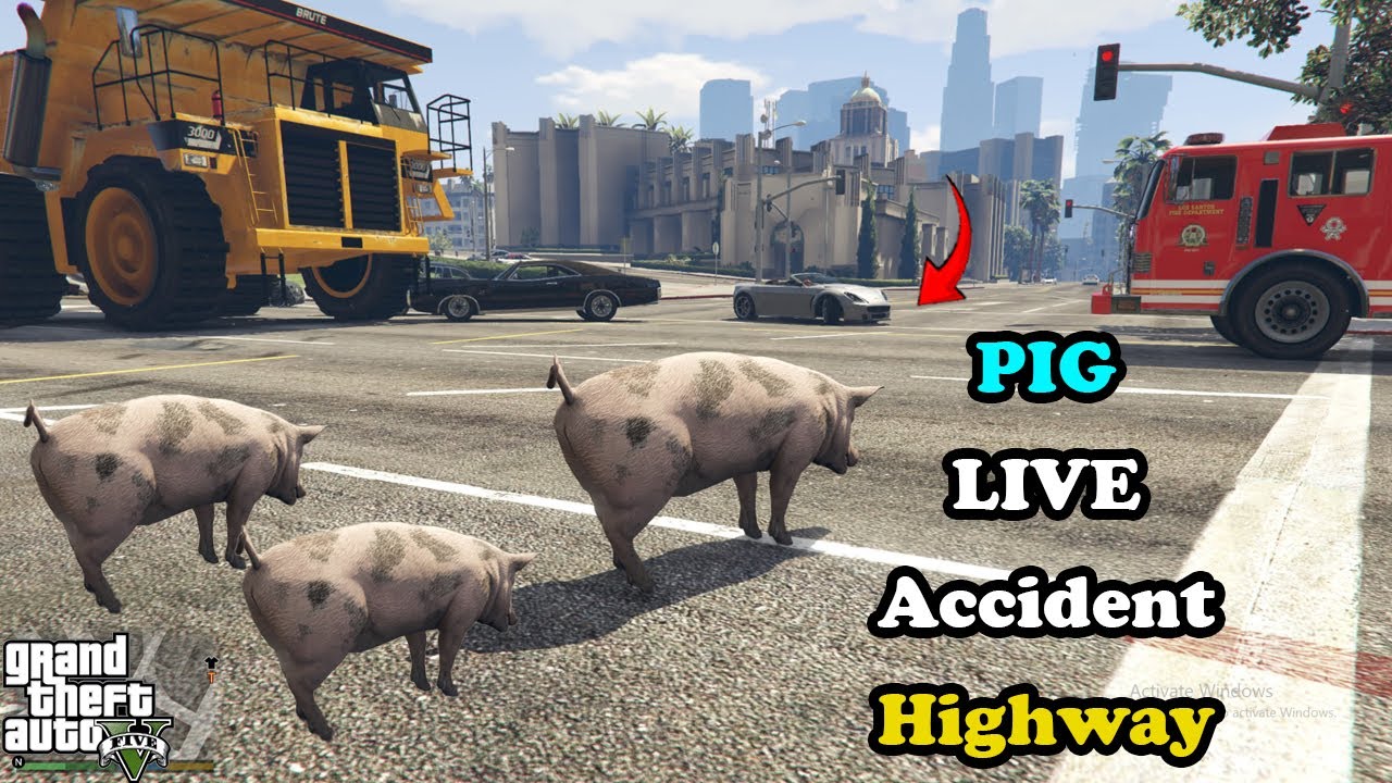 Shocking live accident: Poor pig on busy road GTA V Gameplay - YouTube