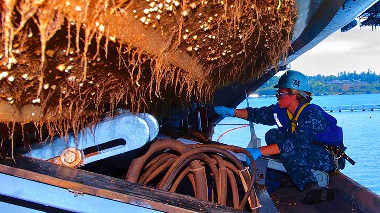 INGENIOUS Barnacles Removing From Ships And Boat SATISFYING Barnacles ...
