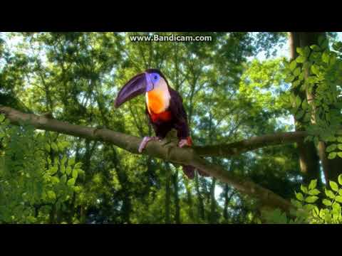 In the Night Garden - Toucan Song (2007)