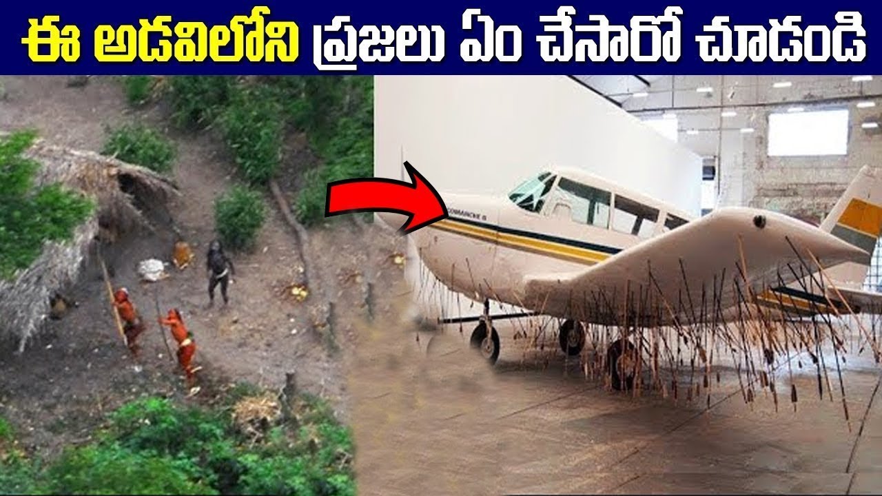 Unexplained Mystery Of Amazon Forest People | Mysterious Creatures in ...