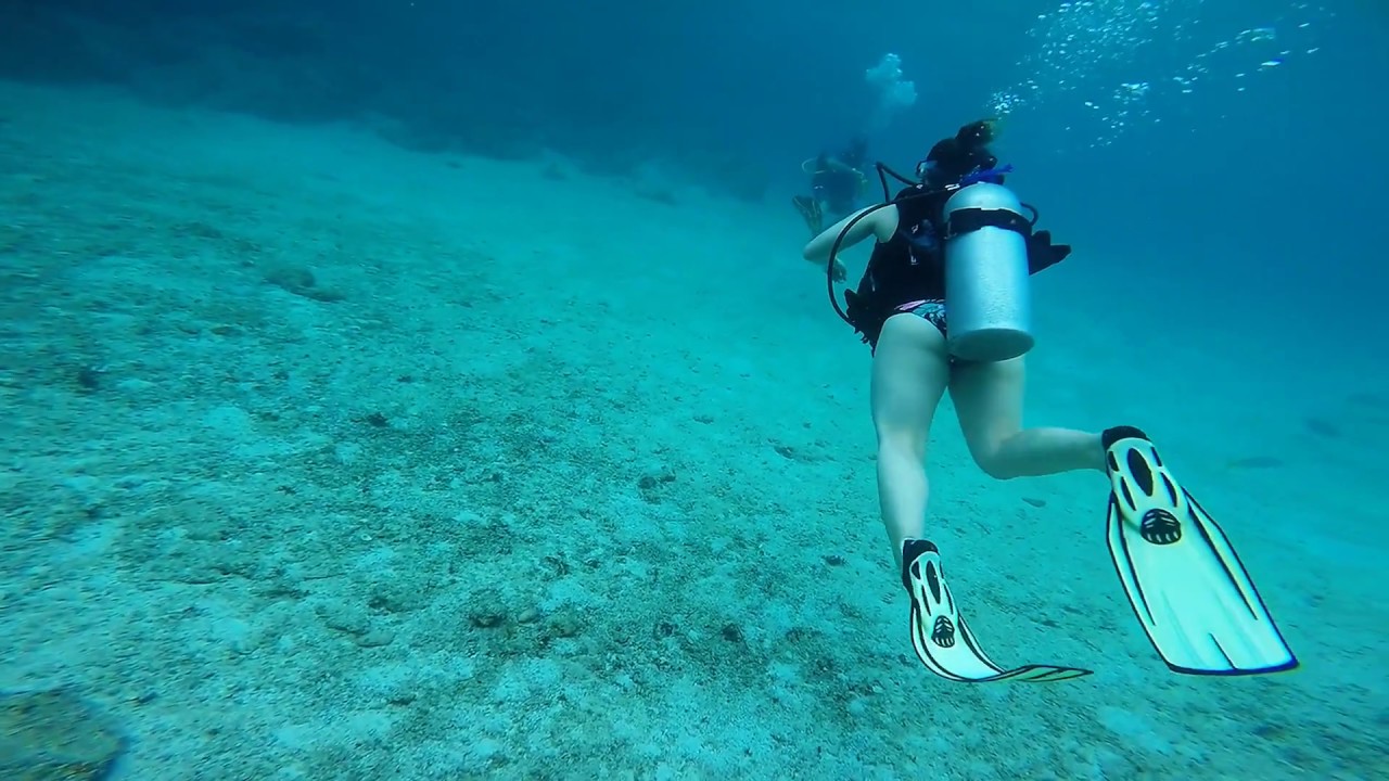 Open water dive - Depth to 40ft - Coki Dive Center - Top things to do ...