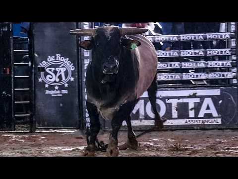 DISPUTA FINAL em TOUROS | RODEIO de EXTREMA-MG 2026