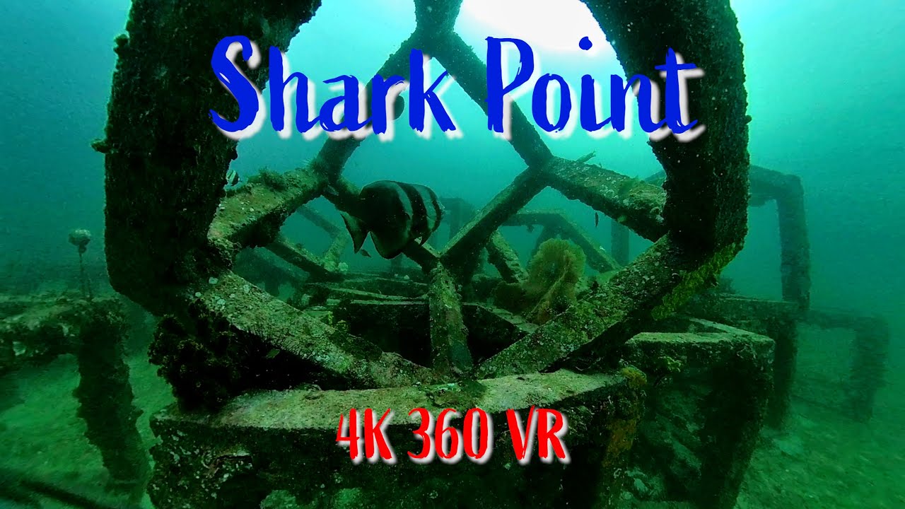 Shark Point Dive 360 4K VR; Phuket, Thailand: Ep. - Eastbound and Up ...
