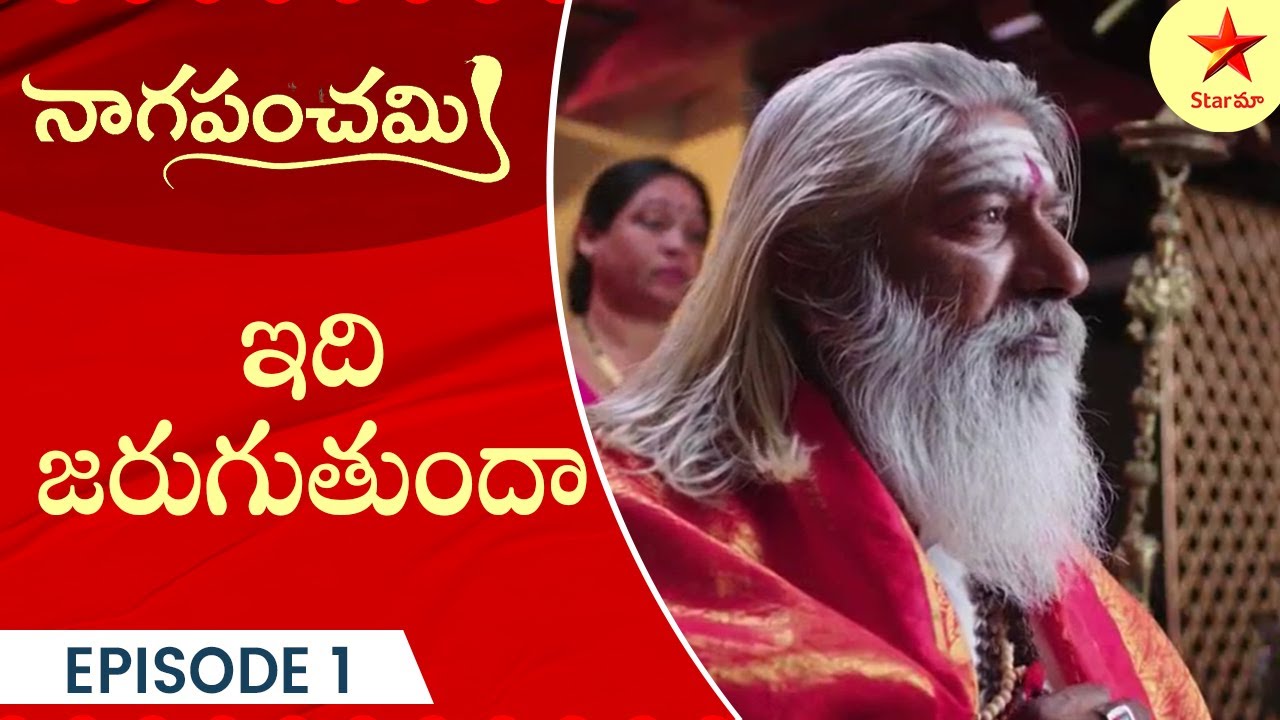 Naga Panchami - Episode 1 Highlight 4 | Telugu Serial | StarMaa Serials ...
