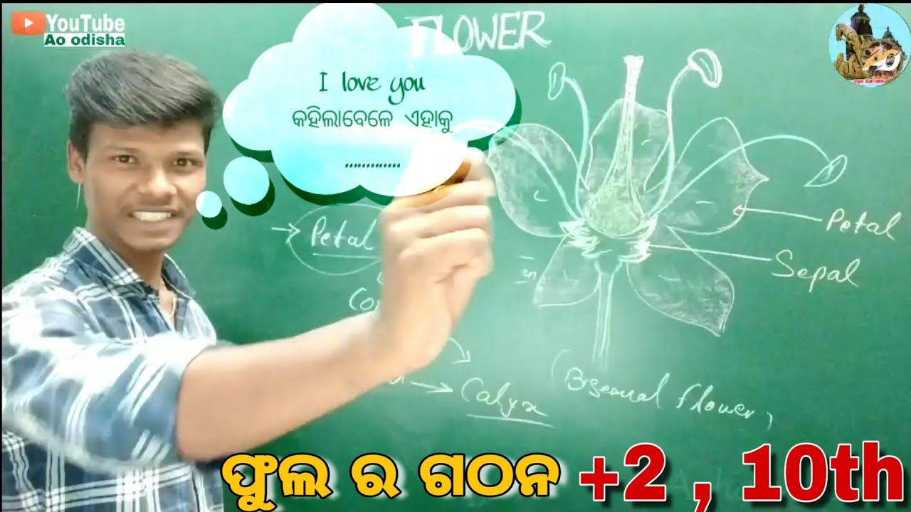 Flower structure/several parts of a flower//Ao Odisha flower structure ...