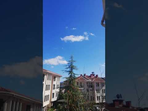 GÜNAYDIN DOĞAÇLAMASI 🌹 f.ş.k.