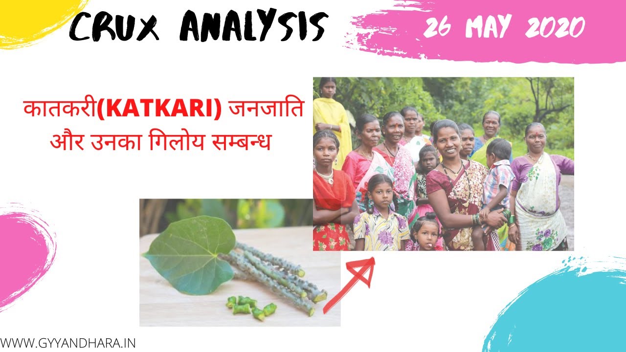 KATKARI TRIBE & PMVDY COMPLETE ANALYSIS | CRUX ANALYSIS - YouTube