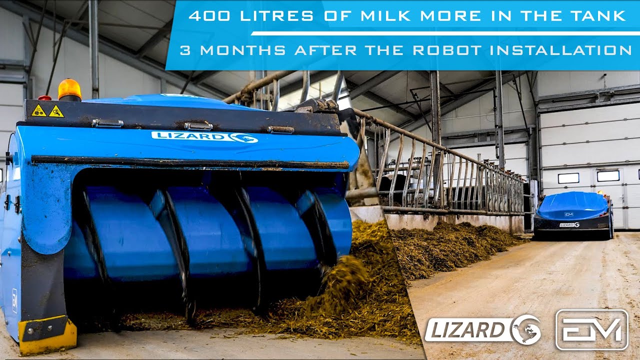 How we increased milk yield by 400 liters - EM LIZARD is a revolution ...