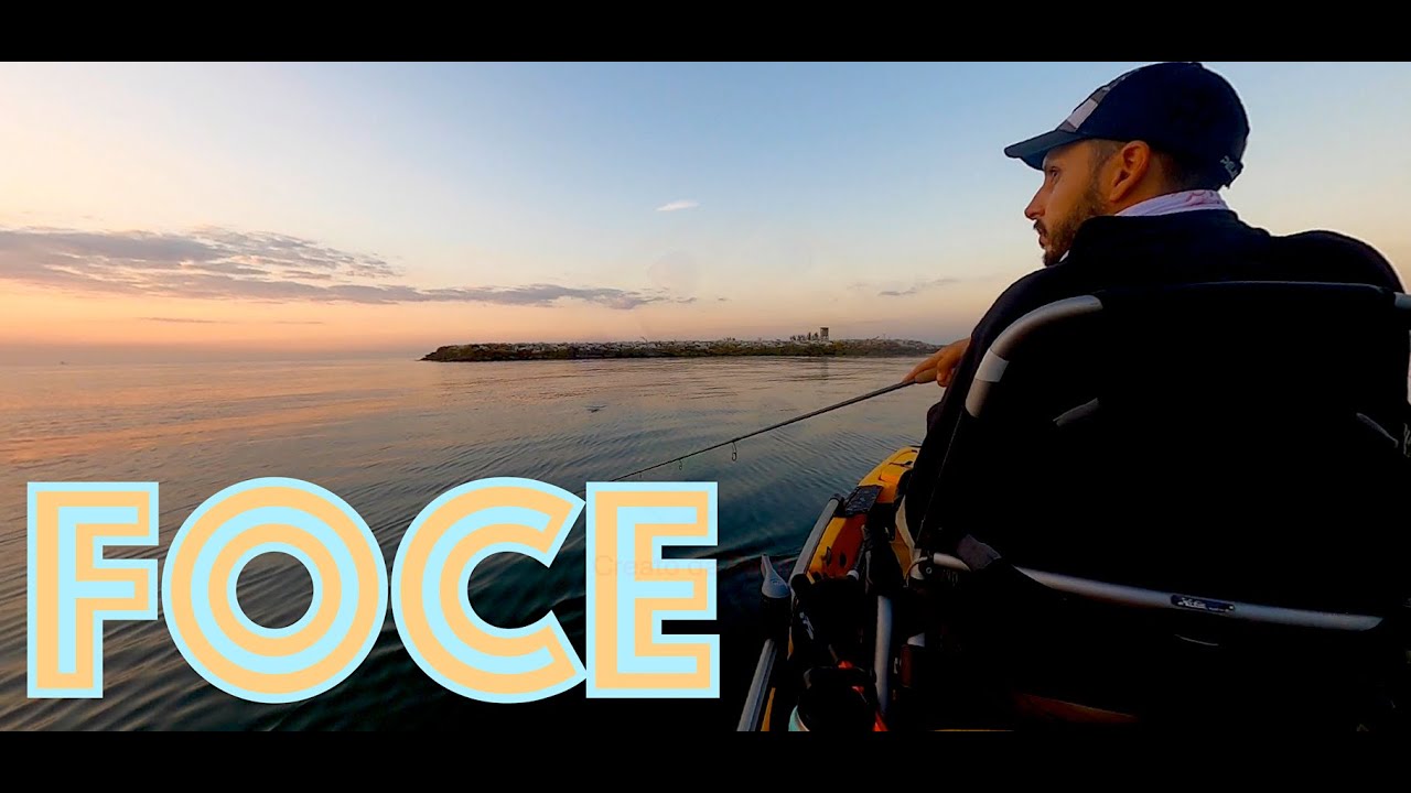 LIGHT SPINNING in FOCE - YouTube