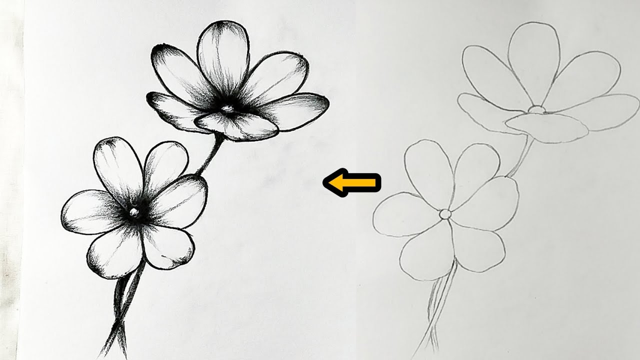 how to draw simple drawing || flower drawing - YouTube