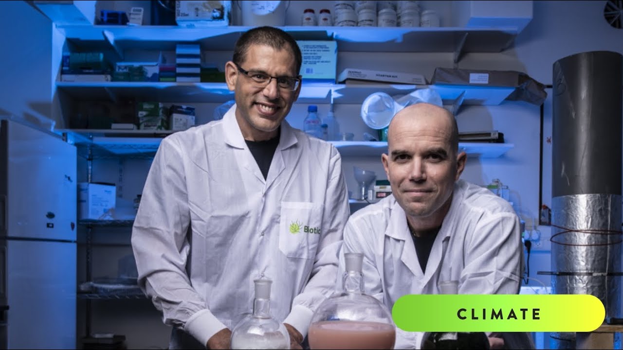 Impact Nation: Introducing Biotic - YouTube