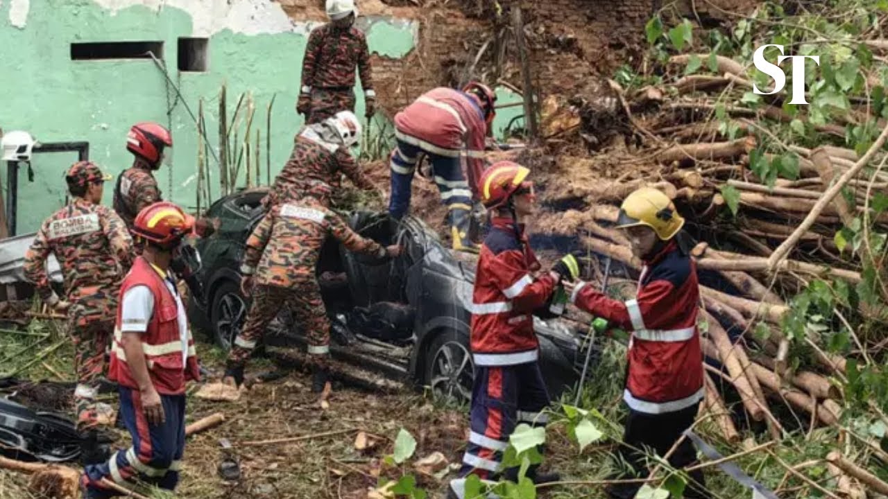 2 Chinese tourists die after tree falls on vehicles in Penang - YouTube