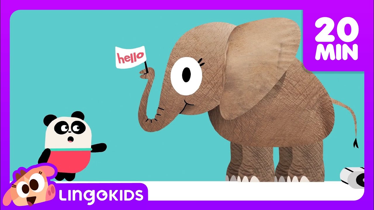 ALL ABOUT POO 💩 What is DIGESTION? + More Lingokids Cartoons for Kids ...