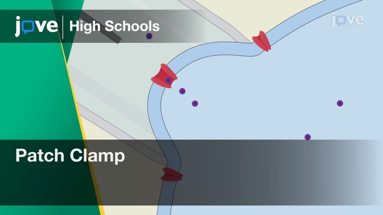 Patch Clamp | Cell Bio | Video Textbooks - Preview - YouTube