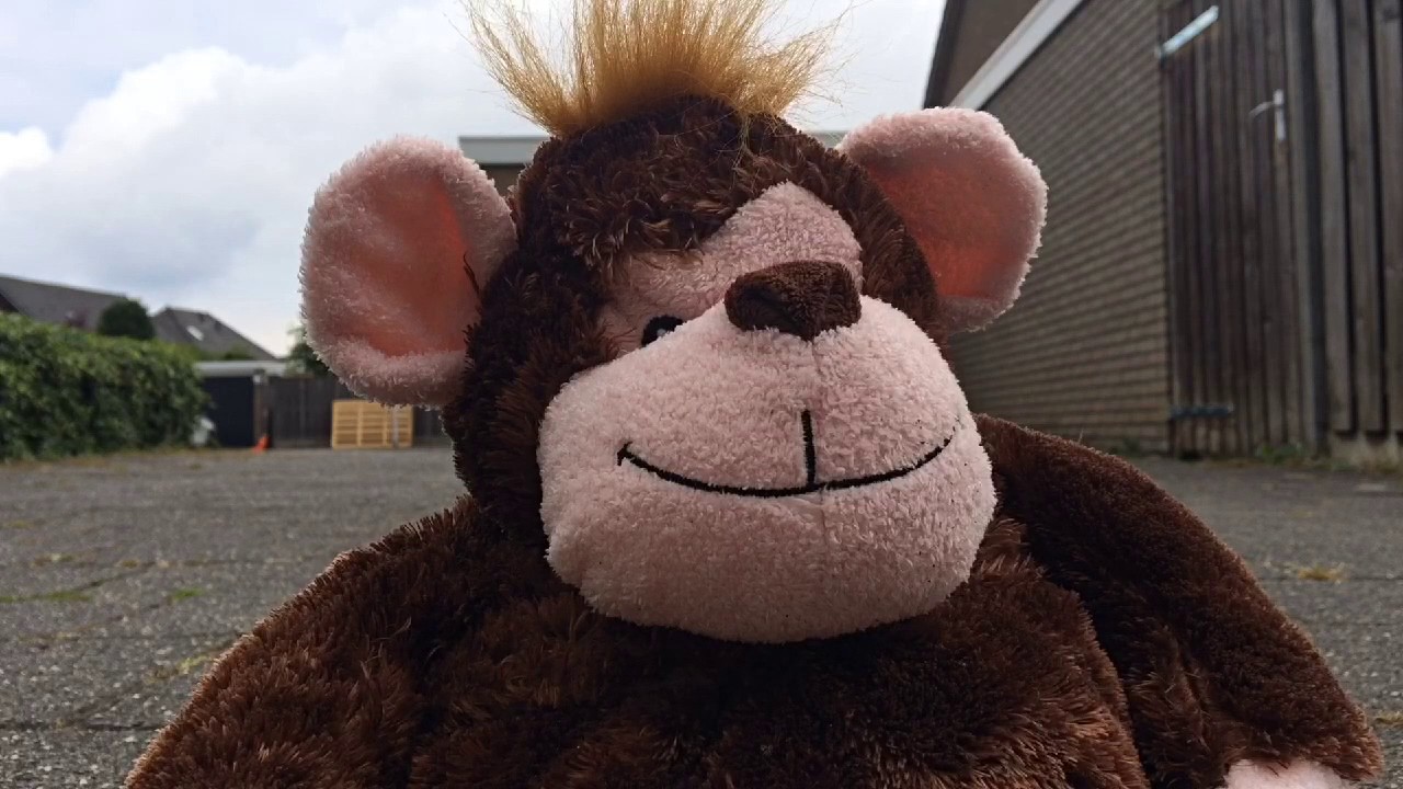 Episode 3 MONKEY!!! - YouTube