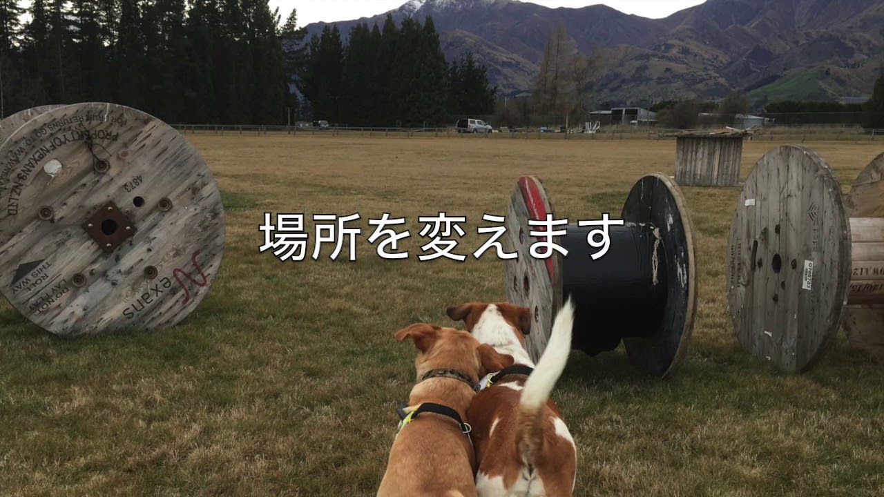 Run! Everybody! Run!!（走る！走る！俺たち！） - YouTube