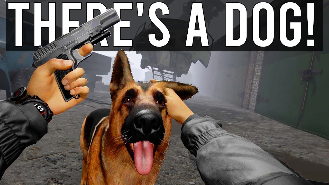 This New Vr Game Might Have The Best Dog - YouTube