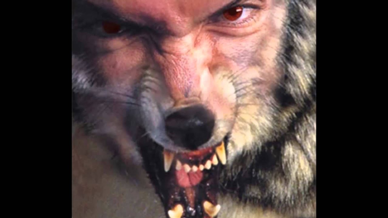 Fran Kalavera - Killer Wolf (Danzig Cover) - YouTube