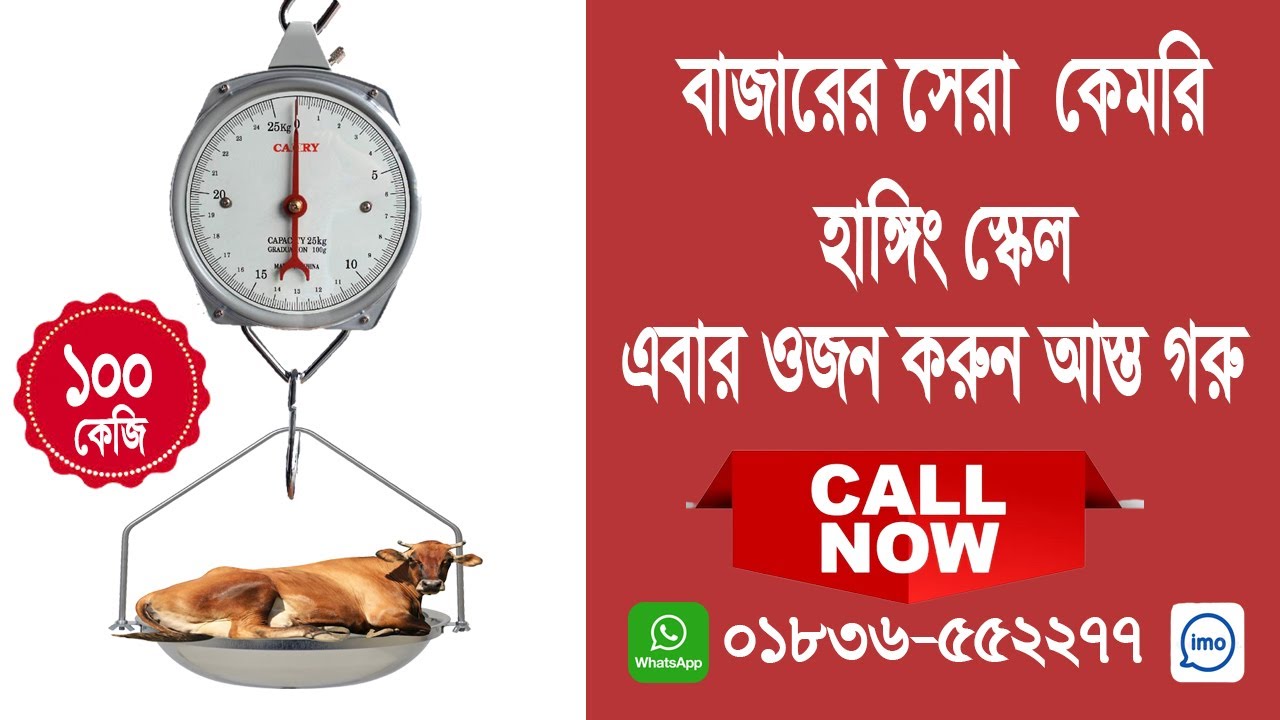 Camry Analog Hanging Weight Scale 100Kg Capacity I হ্যাঙ্গিং স্কেল I ...