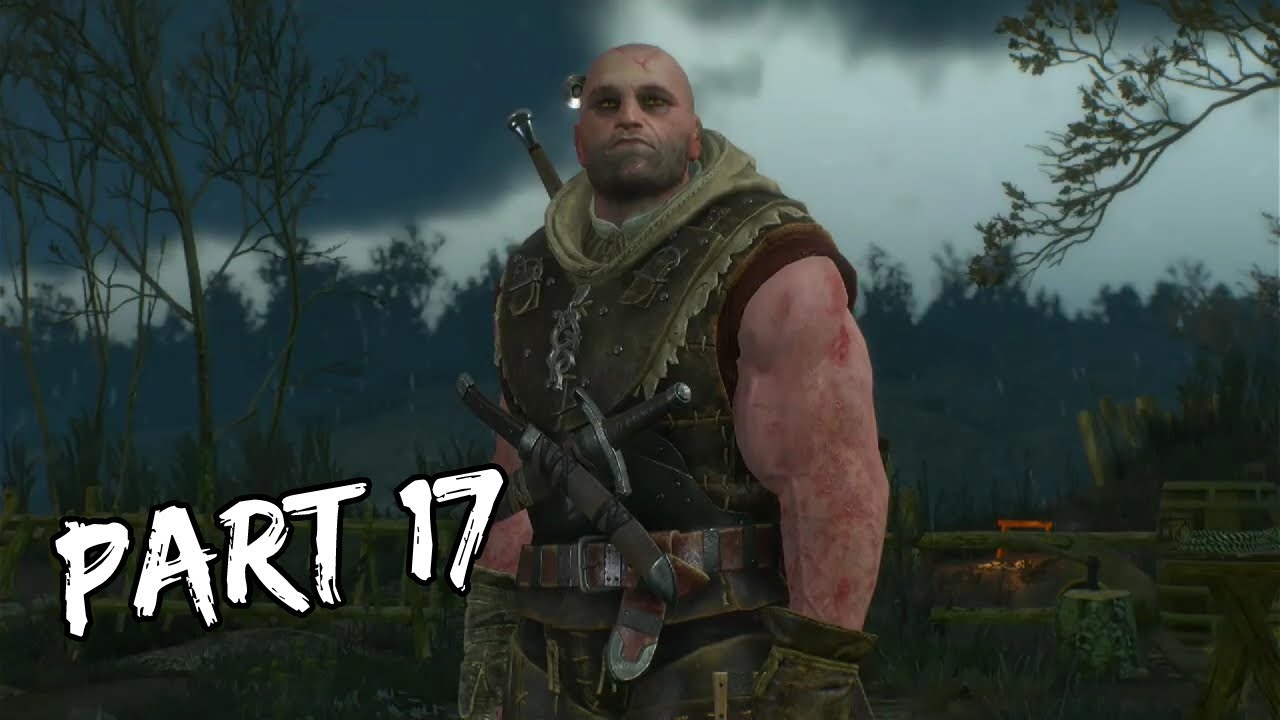The Witcher 3: Wild Hunt-Gameplay Walkthrough/No Commentary Part 17 The ...