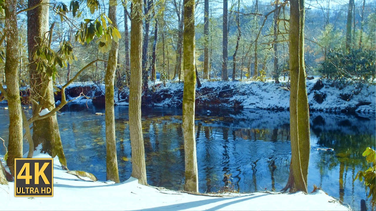 INSTANTLY Feel PEACE by a GENTLE Stream| Nature Visual and Sounds for ...