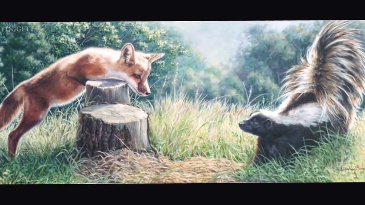 Skunk and Fox Kiss - YouTube