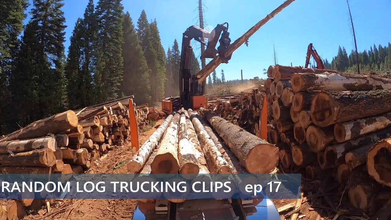 Random Log Trucking Clips ep17 - YouTube