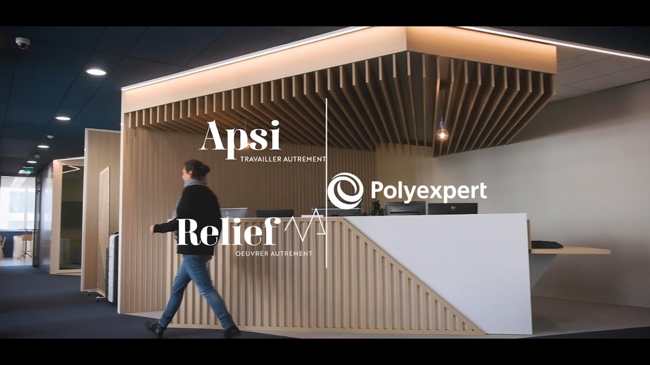 Apsi X Relief X Polyexpert - Zoom Projet - YouTube